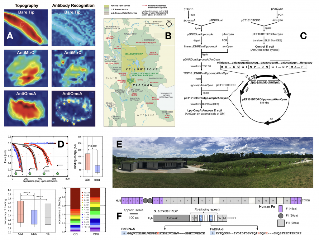Figures & Tables – Scientific Posters: A Learner's Guide