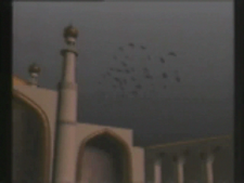 19.2 Flocking Systems – Computer Graphics and Computer Animation: A Retrospective Overview